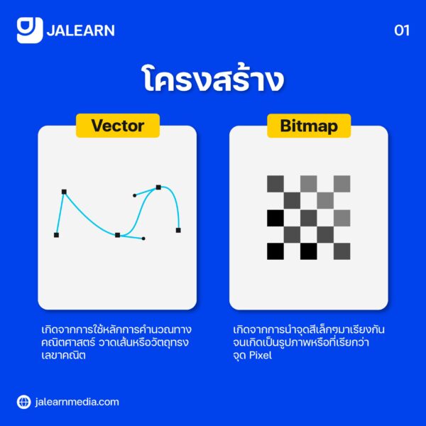 Vector VS Bitmap ต่างกันอย่างไร
